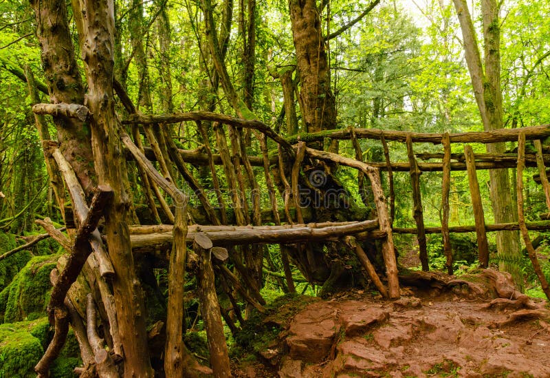 A Beautiful Bench in a Forest Made Out of Natural Materials. Stock ...