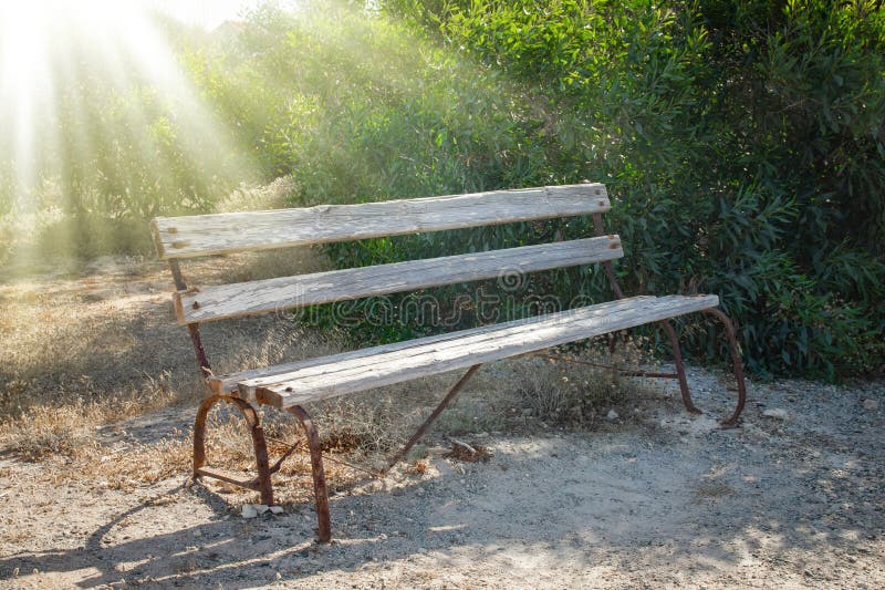 Beautiful Bench Near the Sea Shore on Nature Background Stock Photo ...