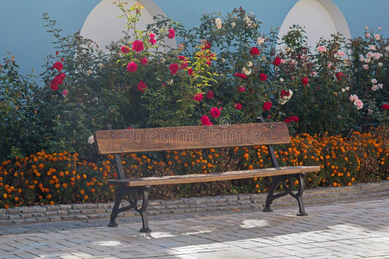 Beautiful Bench in the Park Stock Image - Image of morning, natural ...