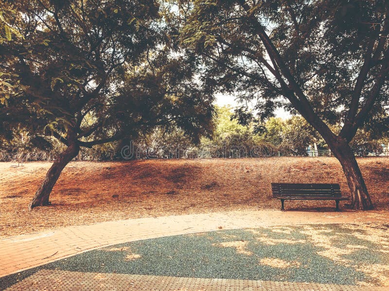 Beautiful Bench in the Park. Spring Sunny Day. Stock Photo - Image of ...