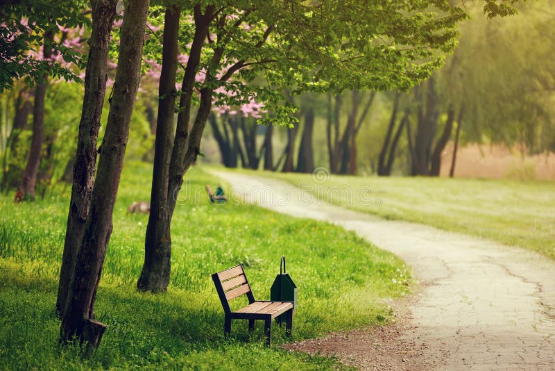Beautiful Bench in the Park Stock Image - Image of spring, outdoor ...
