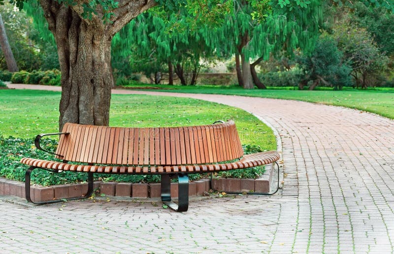 Beautiful Bench by the Tree in the Park Stock Photo - Image of ...