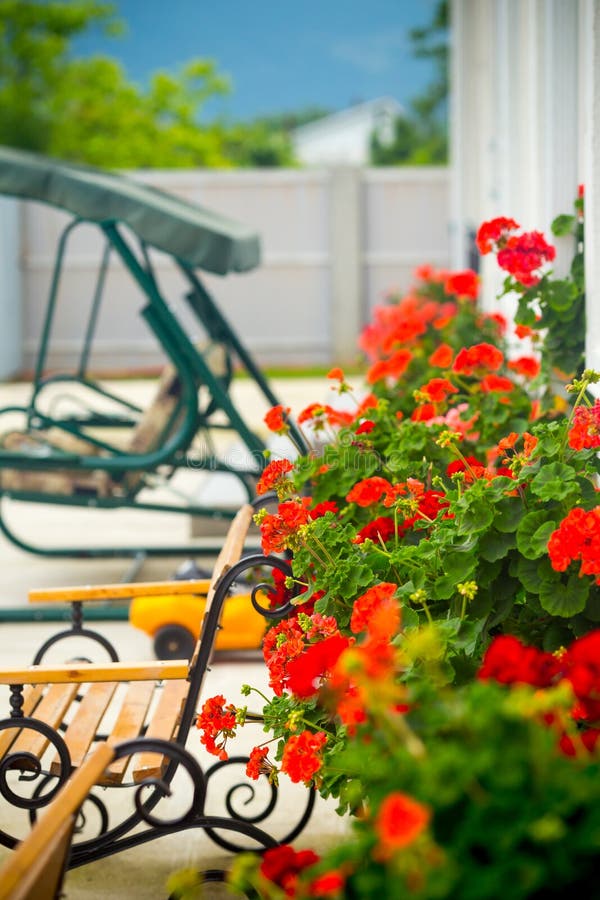 Beautiful Benches with Flowers Close Up View. Stock Image - Image of ...
