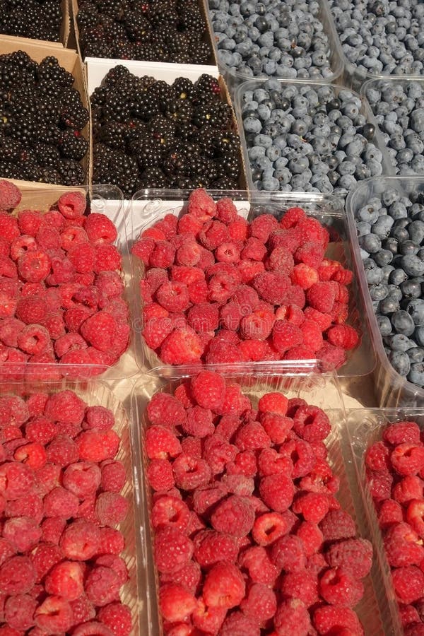Beautiful berries stock photo. Image of heap, deck, objects - 58499770
