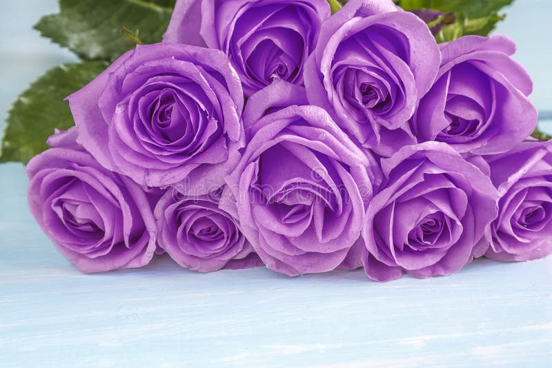 Beautiful Bunch of Pink, Purple and White Peonies Stock Image - Image ...