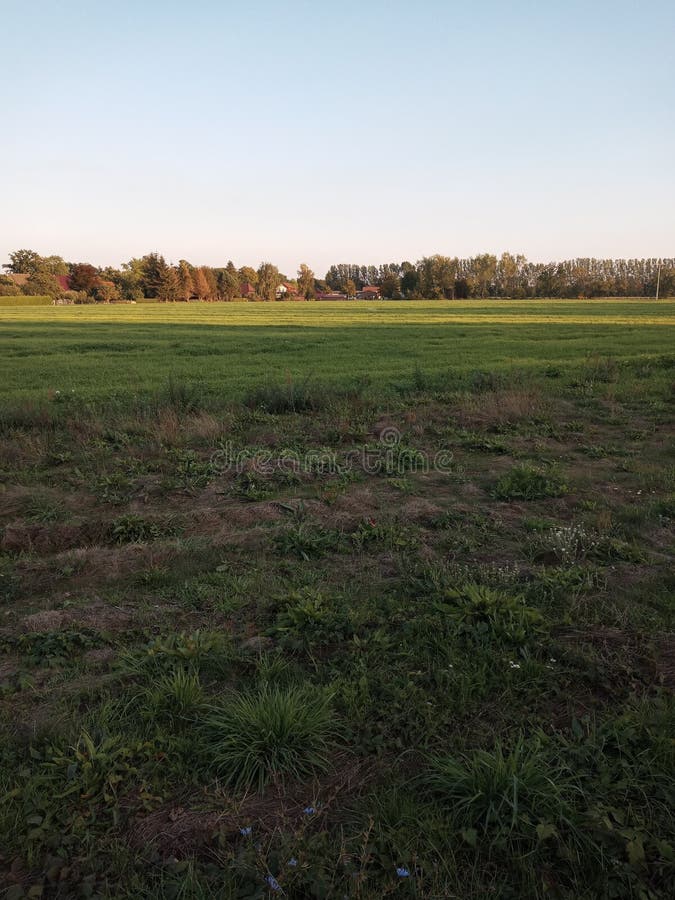 Beautiful Big Feld Stock Photos - Free & Royalty-Free Stock Photos from ...