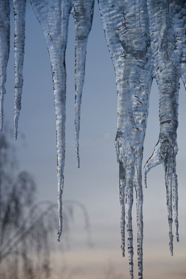 Beautiful Big Icicles Sky Winter Stock Image - Image of winter, leaf ...