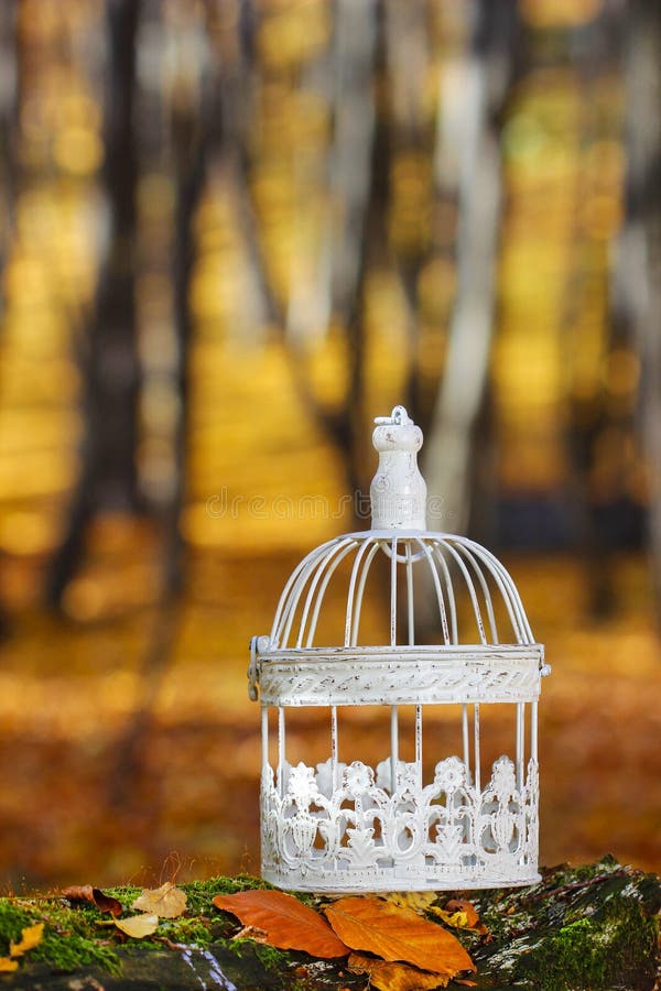Beautiful Bird Cage in Autumn Forest Stock Photo - Image of candle ...