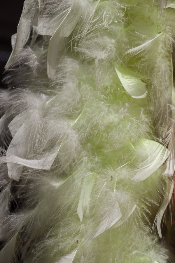 Beautiful Bird Feathers for Decorative Aims Stock Photo - Image of blue ...