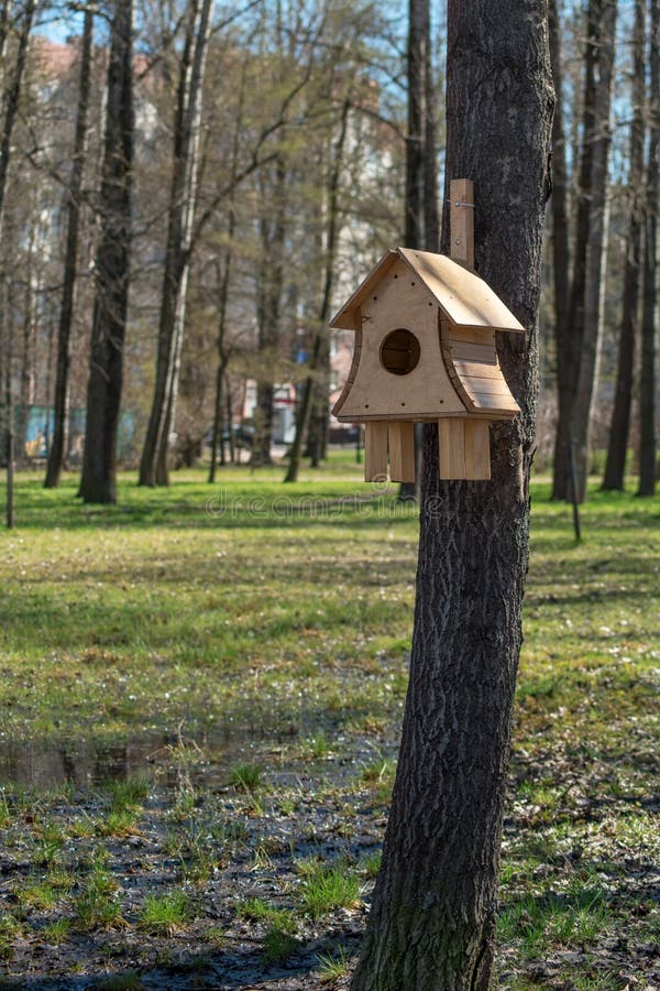 Beautiful Birdhouse on the Tree Stock Image - Image of summer, grass ...