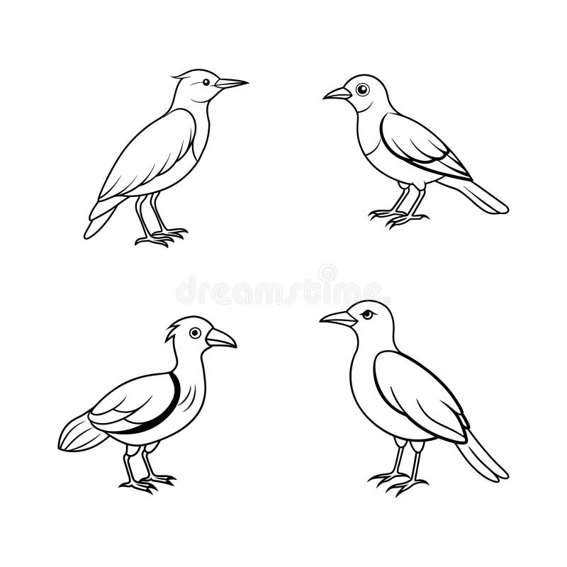 Beautiful Birds Line Art Vector Stock Illustration - Illustration of ...