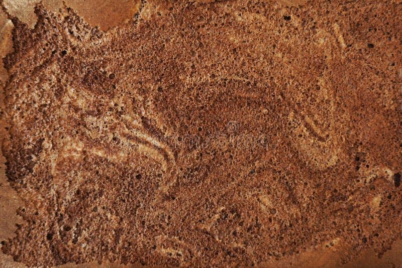 The Texture Of A Delicate, Airy Biscuit For Cakes Stock Image - Image ...