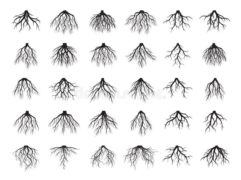 Set of tree roots stock vector. Illustration of season - 96230857