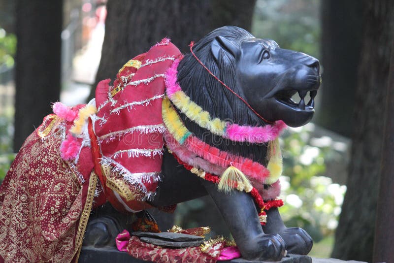 139 Stachu Stock Photos - Free & Royalty-Free Stock Photos from Dreamstime