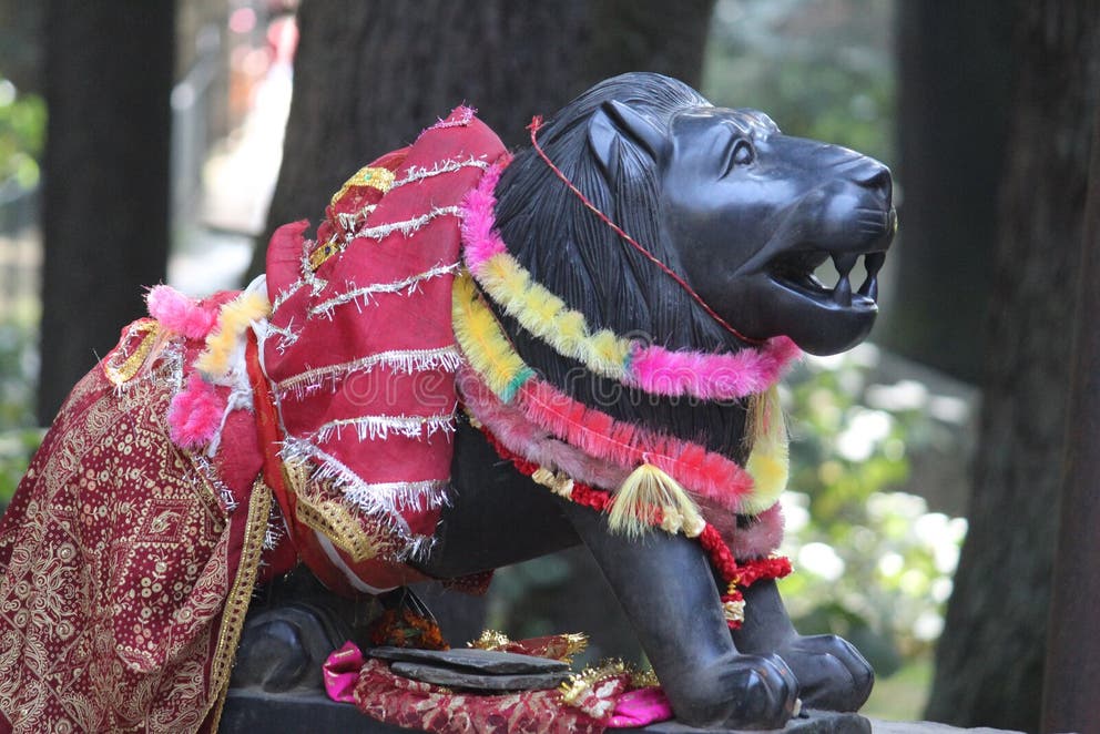 LION stachu stock image. Image of beautiful, lion, black - 122511255