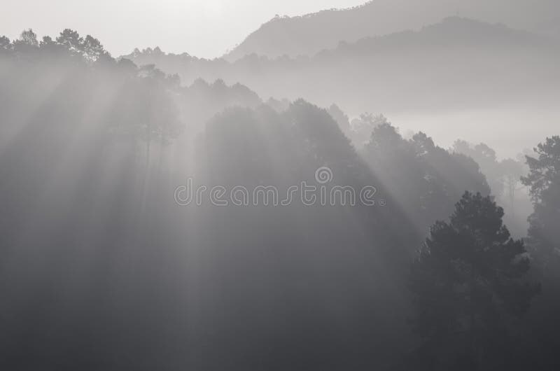 Beautiful Black and White Ray of Light Stock Image - Image of beauty ...