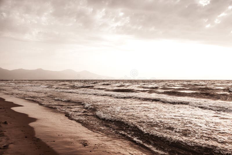 Beautiful Blank Beach stock photo. Image of shore, horizon - 77426340