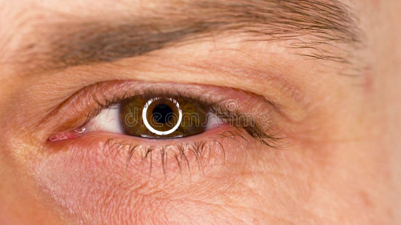 Beautiful Blinking Male Eye Close-up Stock Video - Video of fright ...