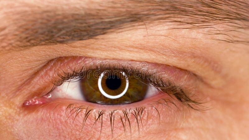 Beautiful Blinking Male Eye Close-up Stock Video - Video of caucasian ...