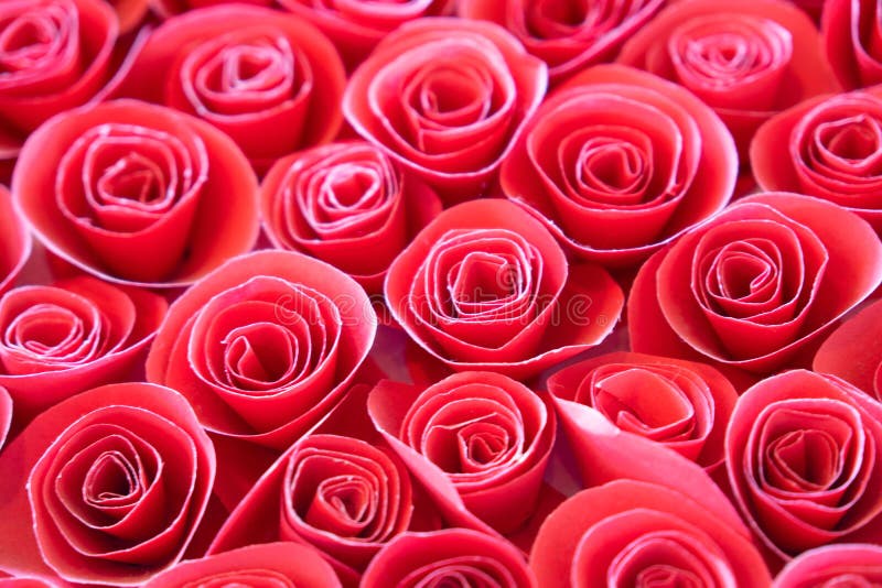 Beautiful Bloom Paper Red Rose for Background Stock Illustration ...