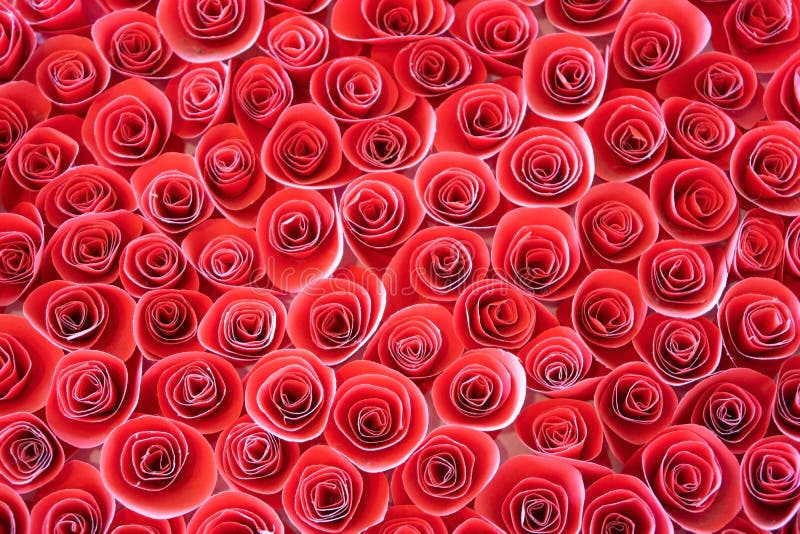 Beautiful Bloom Paper Red Rose for Background Stock Illustration ...