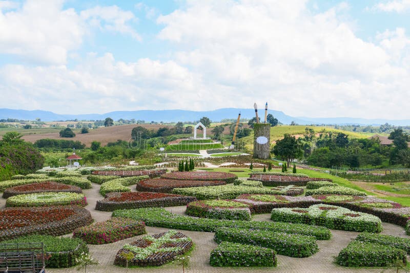 Beautiful Blooming Flower in Flora Park Stock Image - Image of flora ...