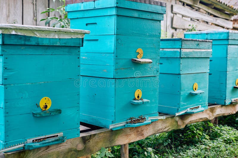 Beautiful Blue Beehives Small Apiary Home Garden Stock Photos - Free ...