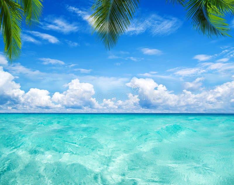 Caribbean sea stock image. Image of natural, background - 29930807