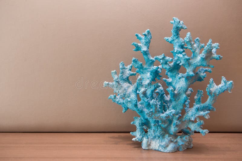 Beautiful Blue Coral on Wooden Showcase Stock Image - Image of ocean ...