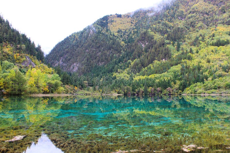 Beautiful Blue Lake in Mountains Stock Image - Image of spring, trees ...