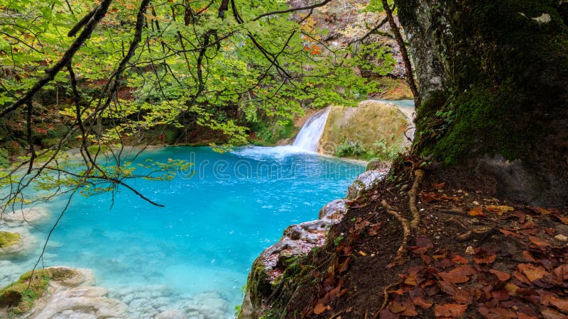 Beautiful Blue Natural Pool in the Woods Stock Image - Image of pool ...