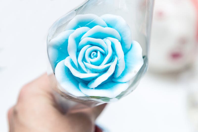 Beautiful Blue Rose with White Tips of Petals in Hand Stock Image ...