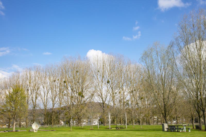 Beautiful Blue Sky Above the Trees Stock Image - Image of tree, blue ...