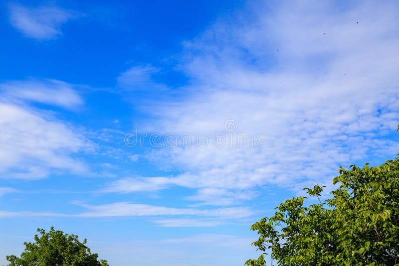 Beautiful Blue Sky with Clouds in Windy Weather. Background or Backdrop ...