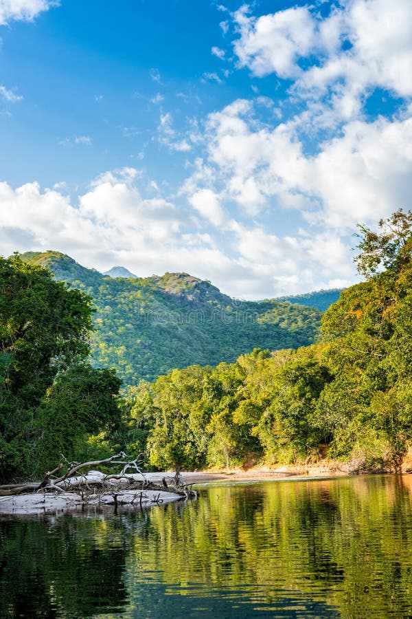 Beautiful Blue Sky Reflecting in the Amazonia Basin River Stock Photo ...