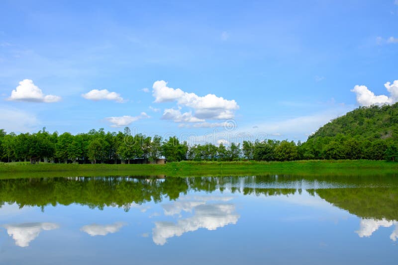 Beautiful blue sky stock photo. Image of green, outdoor - 193724868