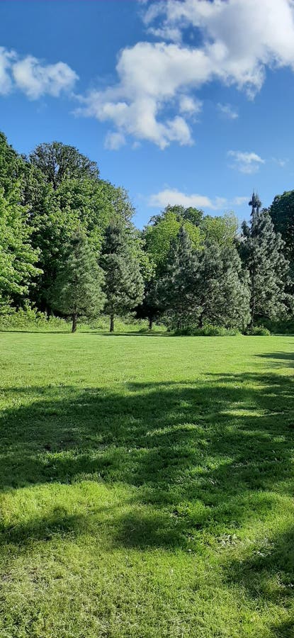 Beautiful Blue Sky with a Smurf Cloud Stock Photo - Image of garden ...