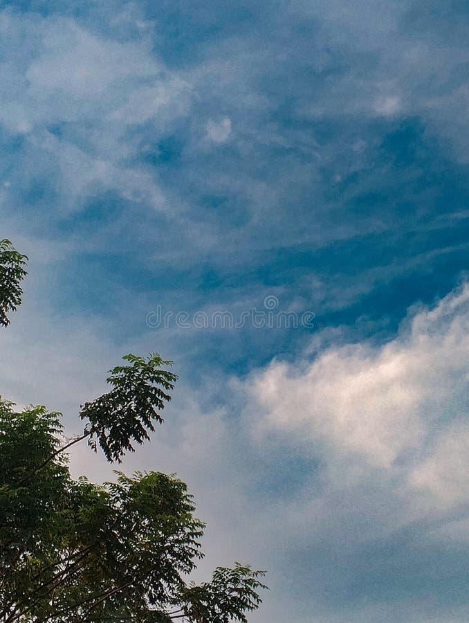 Beautiful Blue Sky with Tree As the Object Stock Image - Image of blue ...