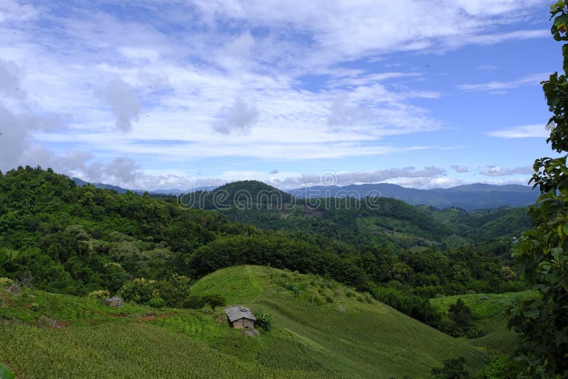 Beautiful Blue Sky with White Gorgeous Fluffy Cloudy Flowing with the ...