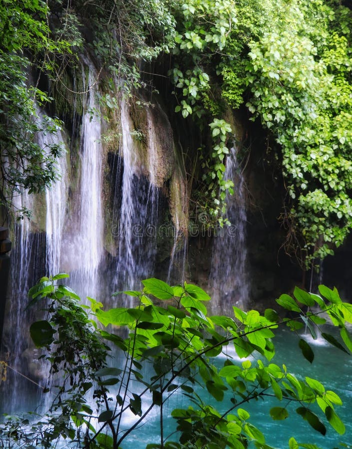 Beautiful Blue Waterfall between Green Trees Stock Image - Image of ...