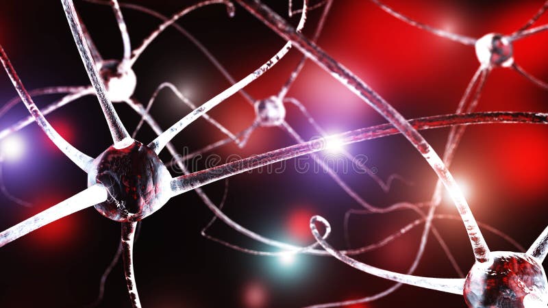 Neural Network of the Brain, Neuron Close-up Stock Illustration ...