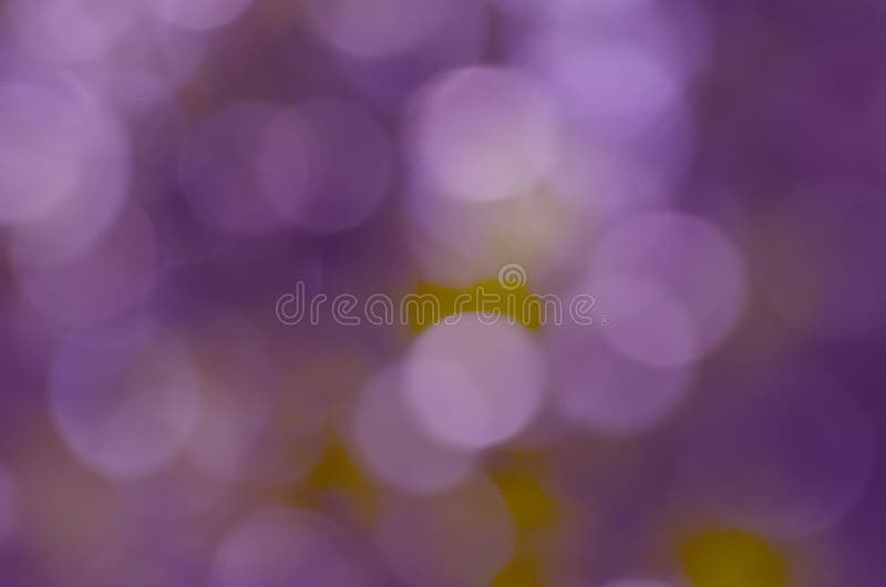 Beautiful Blurry Violet Circle Light Pattern on Leaves Stock Photo ...