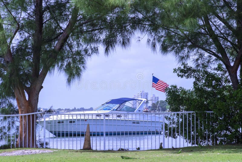 An American Flag Hanging from a Tree Stock Image - Image of home ...