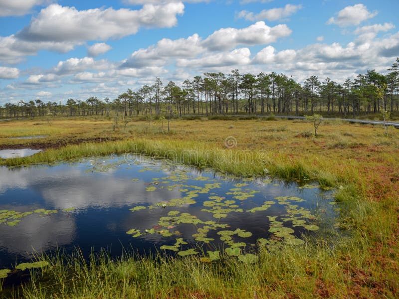 Beautiful Bog Lakes, Sunny Day, Lots of Clouds, Beautiful Glare Stock ...