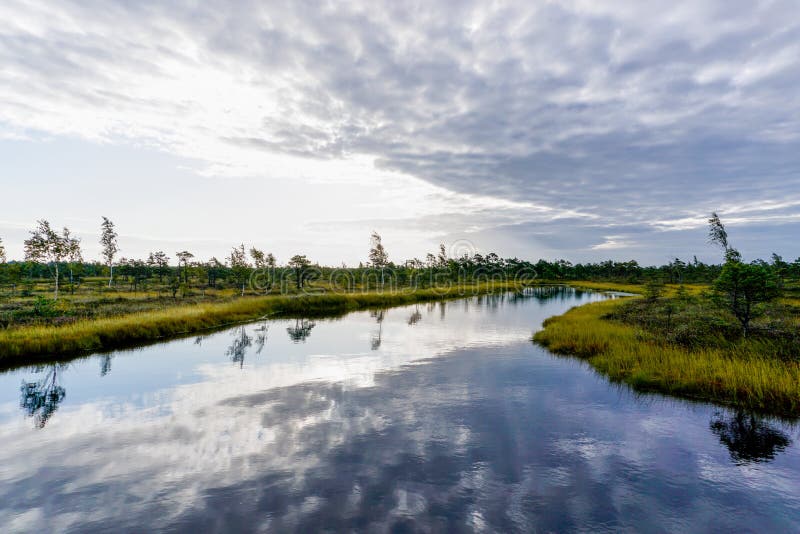 Beautiful Bog and Marsh Landscape with Small Lakes Stock Image - Image ...