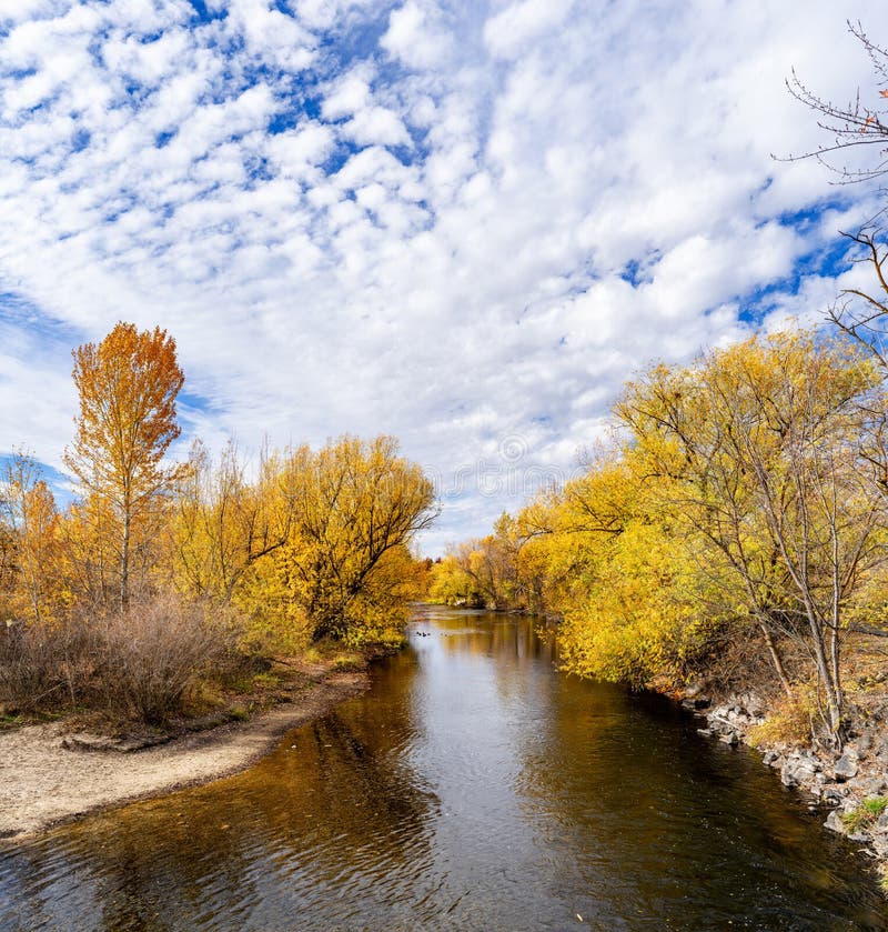 Beautiful Boise River in Autumn Stock Photo - Image of eagle, outdoors ...