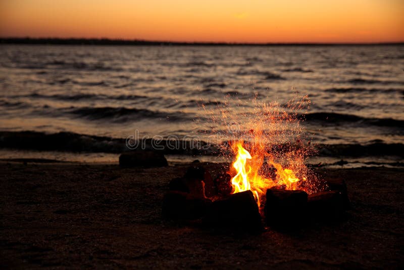 Beautiful Bonfire with Burning Firewood on Beach in Evening. Space for ...