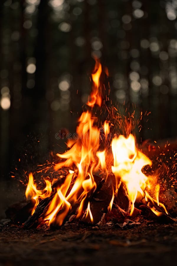 Beautiful bonfire stock image. Image of danger, comfort - 12677055