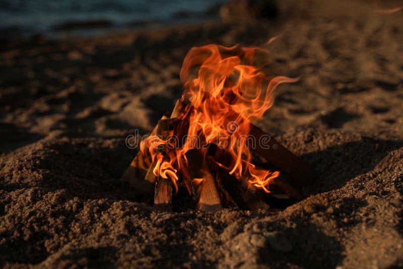 Beautiful Bonfire with Burning Firewood on Sandy Beach Stock Image ...