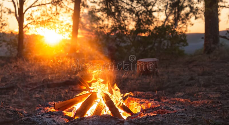 Beautiful Bonfire Lit in the Middle of the Forest Stock Illustration ...